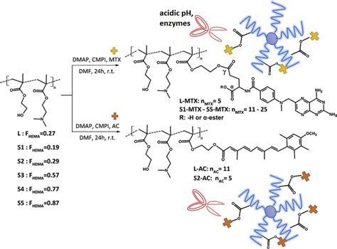 Synthesis Of Polymer Drug Conjugates Using Dmap And Cmpi As Catalysts