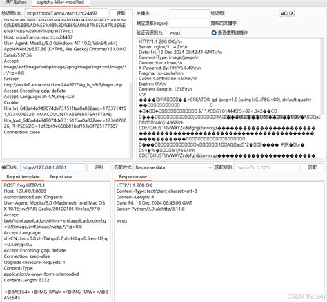 【web】captcha killer modified插件在ctf中的应用示例 ctf captcha csdn博客