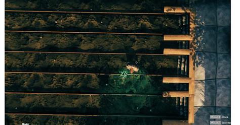 Valheim Garden Grid Album On Imgur