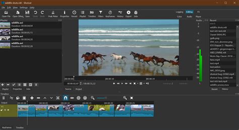 Display Resolution Issue With New V201031 Helphow To Shotcut Forum
