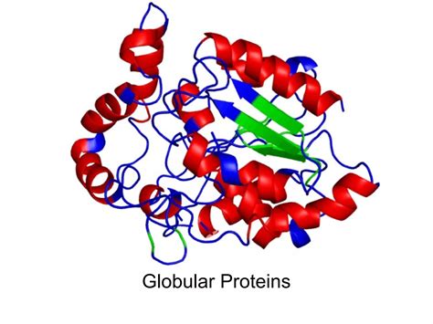 Proetin Tertiary Structure Ppt