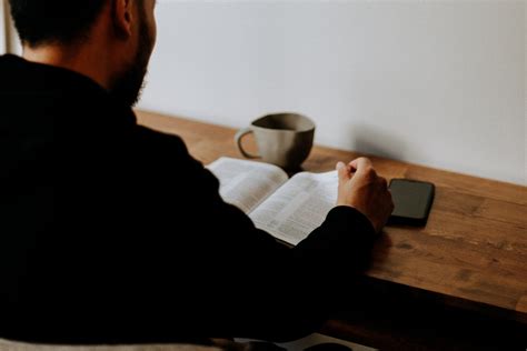 Library Windrose Property