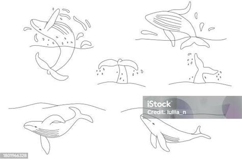 고래 세계 고래의 날 배너 또는 카드 낙서 스타일 플랫 벡터 개요 색칠하기 책과 함께 설정 개체 그룹에 대한 스톡 벡터 아트 및 기타 이미지 Istock