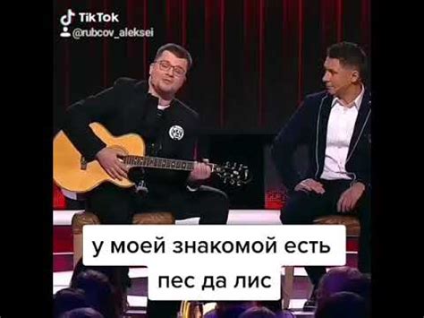 Пес да лис - YouTube