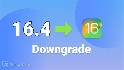 IPhone WhatsApp Crash Su IOS 16 4 2 Soluzioni Per Risolverlo Downgrade IOS 16 4 A IOS 16 3