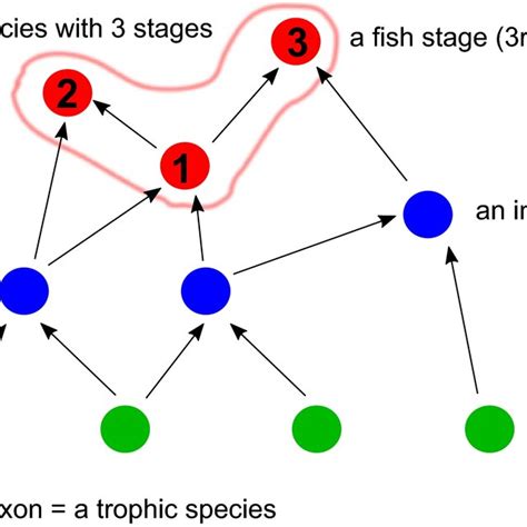 Clarification Of Terminology Used In This Paper The Figure Shows A Download Scientific Diagram
