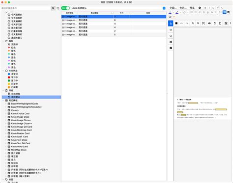 快速入门 PDF Guru Anki