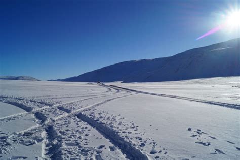Малчдыг хүүхдээ ганцааранг нь малд явуулахгүй байхыг анхаарууллаа
