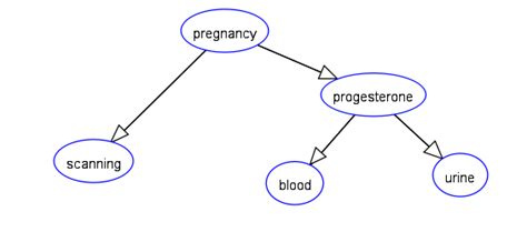 Bayesian Network And Conditional Probability Tables Stack Overflow