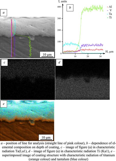 Examination Results Of Bioinert Tantalum Coating Modified By Nitrogen Download Scientific
