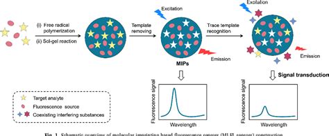 Figure 1 From Strategies Of Molecular Imprinting Based Fluorescence Sensors For Chemical And