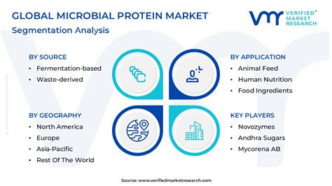 Microbial Protein Market Size Trends Growth And Forecast