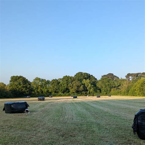 New Park Farm Meats Tiverton