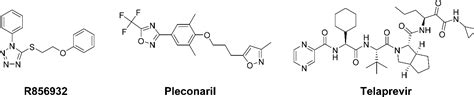 Figure 1 From A Novel Capsid Binding Inhibitor Displays Potent Antiviral Activity Against