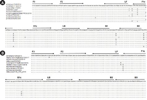 nucleotide sequences used for designing the reverse transcriptional
