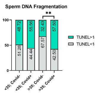 The Plot Of Sample Distribution With Normal And Abnormal TUNEL Values