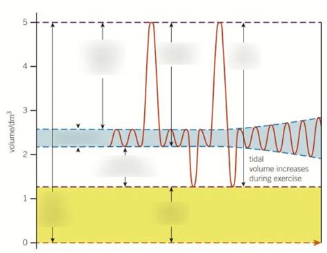 diagram of module 3 chapter 7 7 3 measuring the process graph