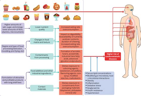 Ultra Processed Foods And Cardiometabolic Health Public Health