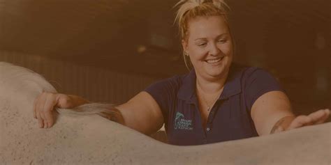 How To Massage Your Horse From Head To Tail Practical Tips Tricks