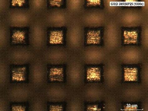 Grid Textured Surface Grid Fs Laser Mag 1000x Download Scientific Diagram