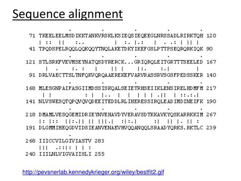 PPT Sequence Alignment By Dynamic Programming PowerPoint Presentation ID