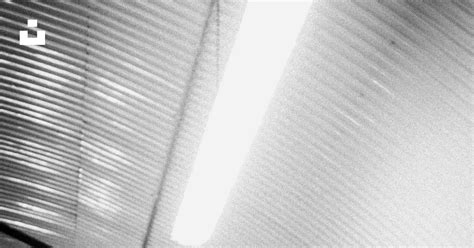 펀칭 글러브를 들고 권투 링에 서 있는 남자 사진 Unsplash의 무료 피츠로이 로지 복싱 클럽 이미지