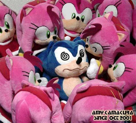 What Is The Sonic Surrounded By Amy Plush Dolls Meme And Where Does