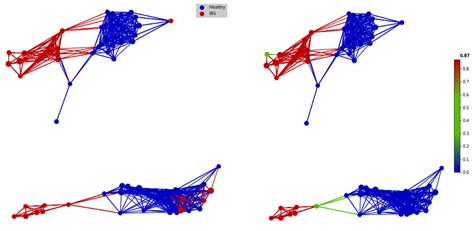 two dimensional network visualization of the microbiota profiles using