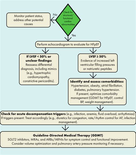 Acute Infective Endocarditis Etiology