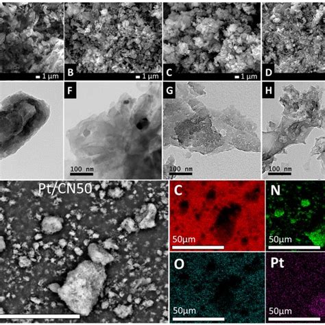 SEM Images Of Pt CN A Pt CN B Pt CN C Pt CN D And TEM Download Scientific