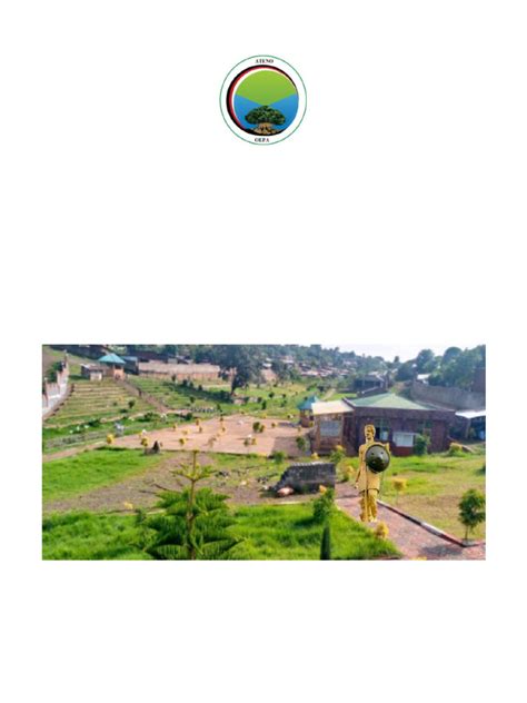 Bedele Town 2016 Efy Projects Es Audit Report Pdf Environmental Impact Assessment Eminent
