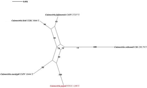The Phi Test Indicated No Significant Recombination Φw 02602 And Download Scientific