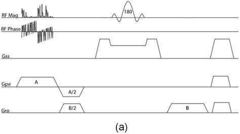 A Pulse Sequence Diagram For Implementation Of Noiselet Encoding In