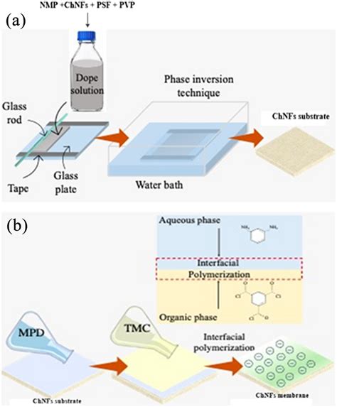 Substrate Layer Development A And Pa Rejection Layer Development Download Scientific Diagram