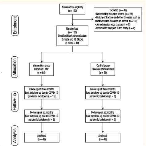 Consort Flow Diagram On The Process Of A Randomised Controlled Trial