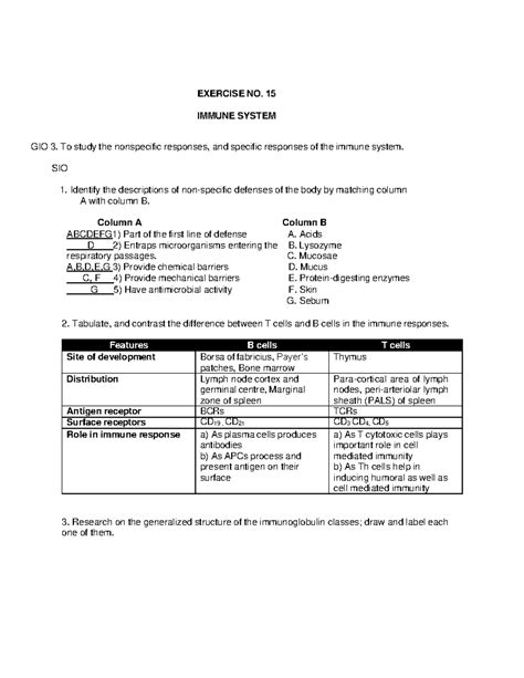 Anatomy And Physiology Immune System Exercise No 15 Immune System