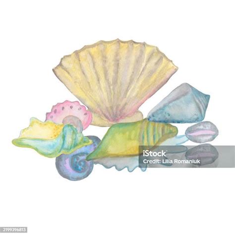 다양한 조개 구성 수채화 그림은 섬유 디자인 스티커 카드 배너에 대 한 흰색 배경베이스에 고립되어 있습니다 Unmanned Spacecraft에 대한 스톡 벡터 아트 및