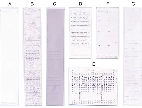 microarray polymer profiling mapp for high throughput glycan analysis