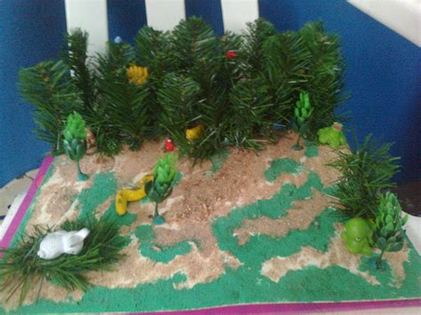 Naturaleza Ambiente Y Materia Maquetas Biomas 7°