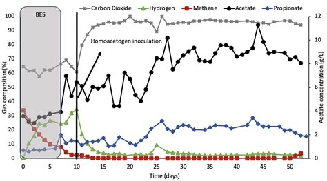 Enhancing Acetic Acid Production In In Vitro Rumen Cultures By Addition Of A Homoacetogenic