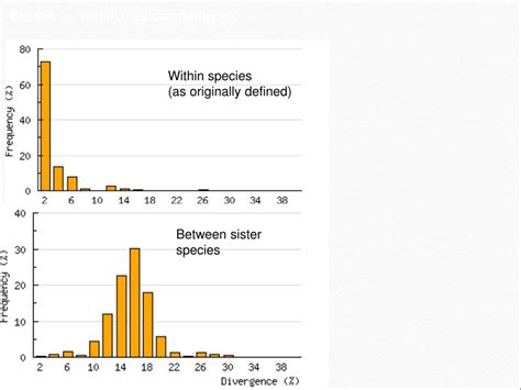 Ppt Bee Barcoding Bee Bol Campaign Powerpoint Presentation Free