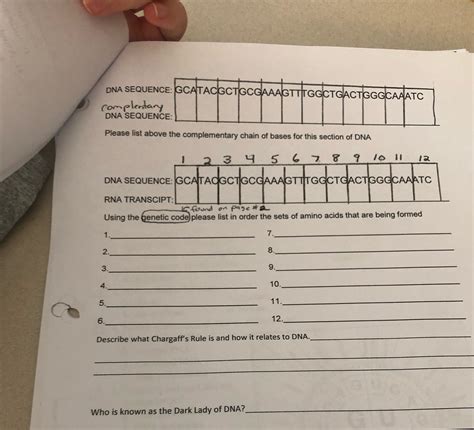 Dna Sequence Gcatacgctgcgaaagtttggctgactgggcaaatc Complentary Dna Course Hero