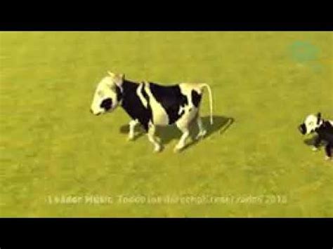 Los Di Bujo Animado Sano Youtube