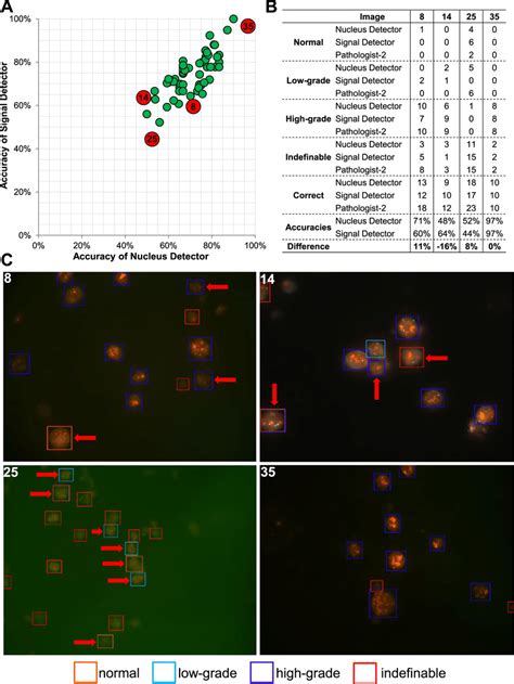 Comparison Of The Accuracy Of Nucleus Detector And Signal Detector On Download Scientific