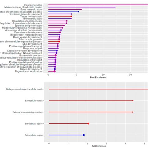 Functional Enrichment Analysis Of Differential Expressed Genes