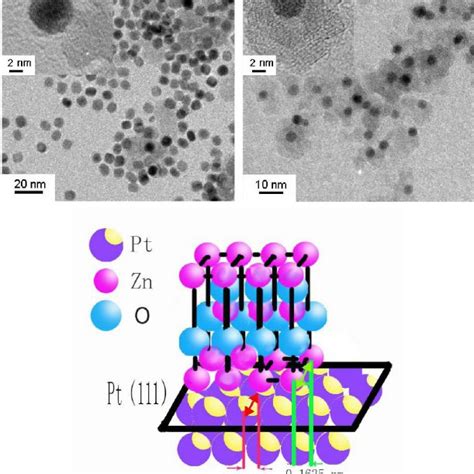 Pdf Synthesis Of Znopt Nanoflowers And Their Photocatalytic Applications
