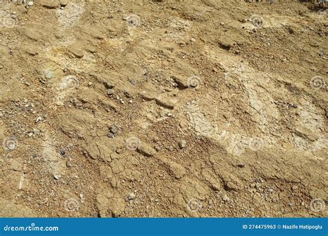 Soil Types Yellow Soil Type Sandy And Hard Rock Yellow Soil Soil