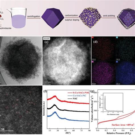 A Schematic Diagram Of The Preparation Process Of S‐co‐sacs Nsc B