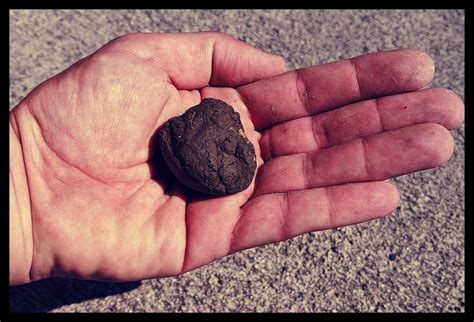 Test Your Soil Texture By Hand