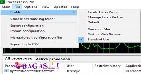 Bitsum Process Lasso Pro 16 0 2 10 Full Download Bagas31